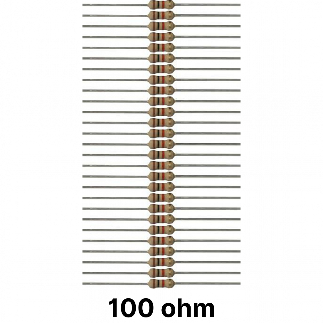 100 ohm Resistor(Pack of 50)