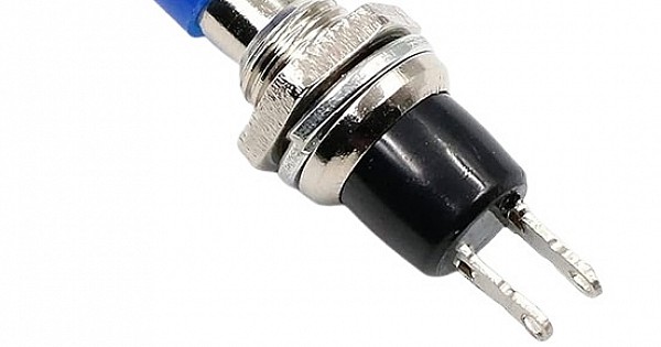 Push Through Blue Button Switch PBS-110